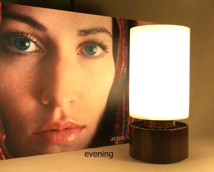 Sunlight Lamp - Natural Light Lamp for Better Health | Sunlight Inside