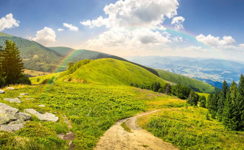 landscape-light-day - Sunlight Inside