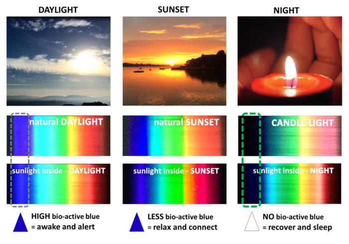 Light is a cornerstone of our health - read about Light and Health!