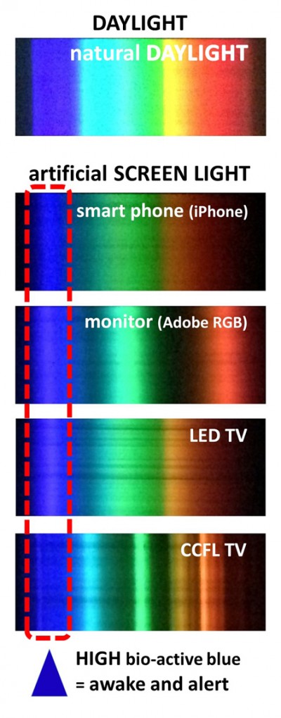 Light is a cornerstone of our health - read about Light and Health!