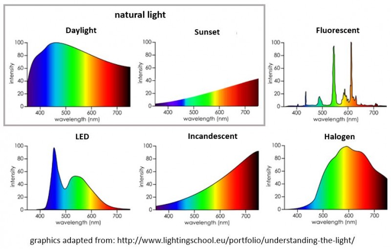 natural_vs_artificial_light_GRAPHICS - Sunlight Inside