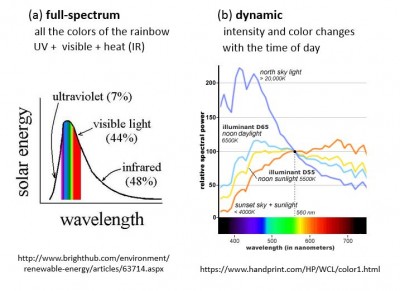 what's special about natural light - Sunlight Inside