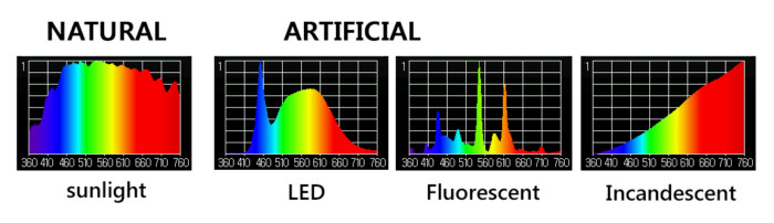 comparing natural light and artificial light - Sunlight Inside