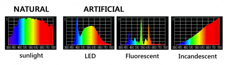 comparing natural light and artificial light - Sunlight Inside