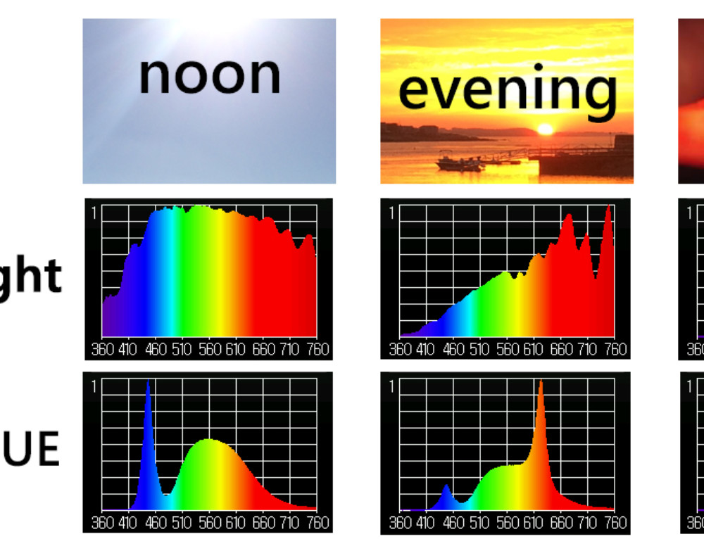 exploring how natural light colors our world - Sunlight Inside