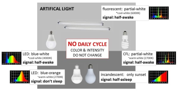 Sunlight Lamp - Natural Light Lamp for Better Health | Sunlight Inside