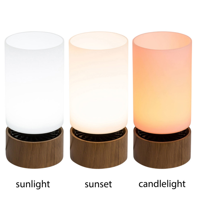 Experience healthy, beautiful natural light - Natural Light Lamps!