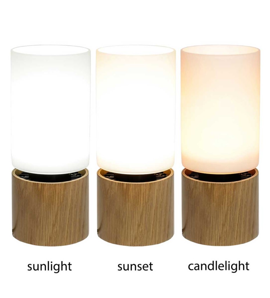 Experience healthy, beautiful natural light - Natural Light Lamps!
