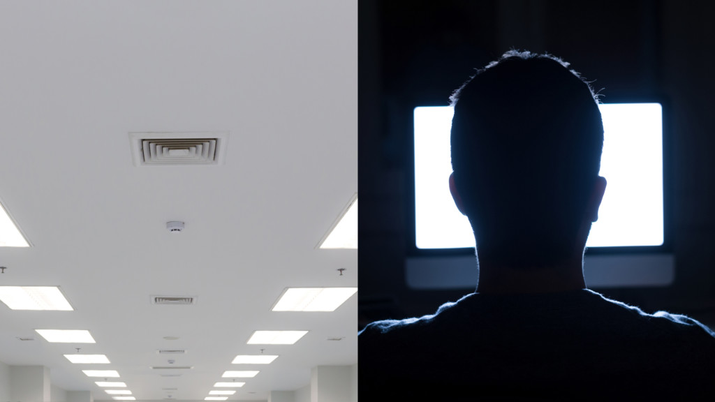 Vision - Sunlight Inside